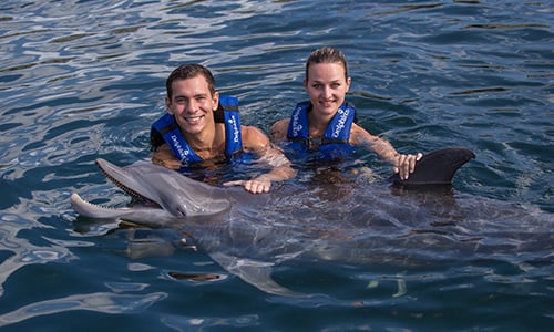 Nado con delfines en México Couples Dreams | Delphinus