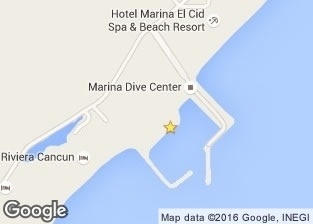 Best place to swim with dolphins in Mexico | Delphinus