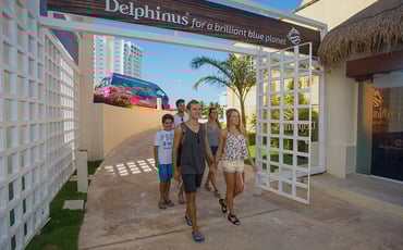 Swim with dolphins in Hyatt Ziva, Cancun | Delphinus