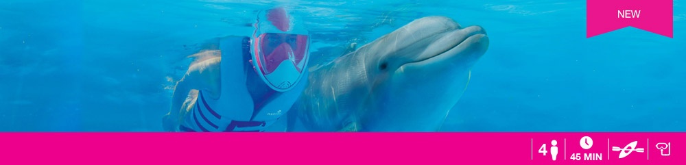 Swim with dolphins in Hyatt Ziva, Cancun | Delphinus UK