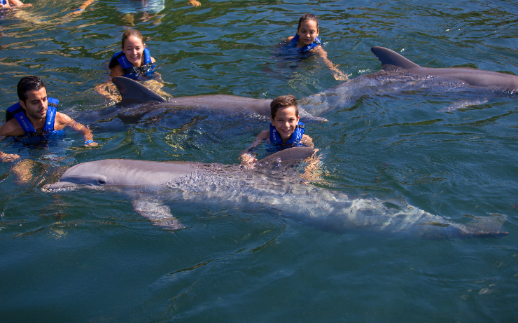 Swimming with dolphins in Riviera Maya | Delphinus