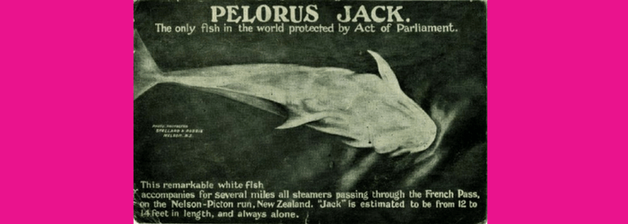 Dolphins and Mythology