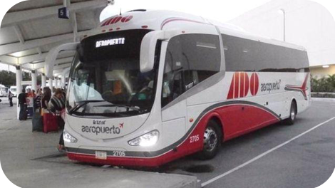 Cancun Public Transportation: How to Get Around the City