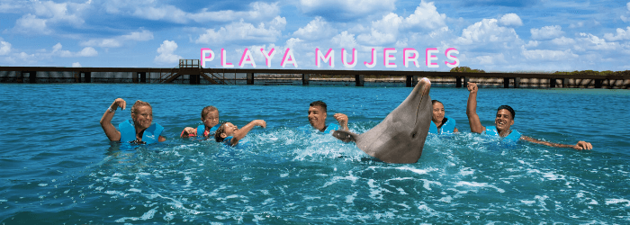 Los 3 mejores lugares para nadar con delfines en México