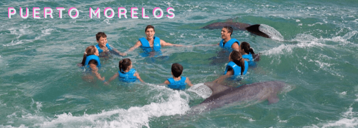 Los 3 mejores lugares para nadar con delfines en México