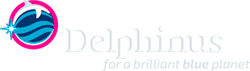 Swim with dolphins in Mexico | Delphinus