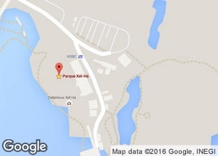 Best place to swim with dolphins in Mexico | Delphinus