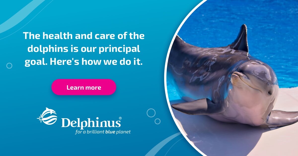 The welfare of our dolphins | Delphinus