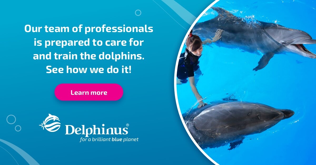Delphinus | Meet our specialists in dolphin training and care