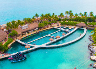 Best place to swim with dolphins in Mexico | Delphinus