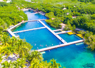 Best place to swim with dolphins in Mexico | Delphinus