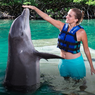 Swim with dolphins in Hyatt Ziva, Cancun | Delphinus UK
