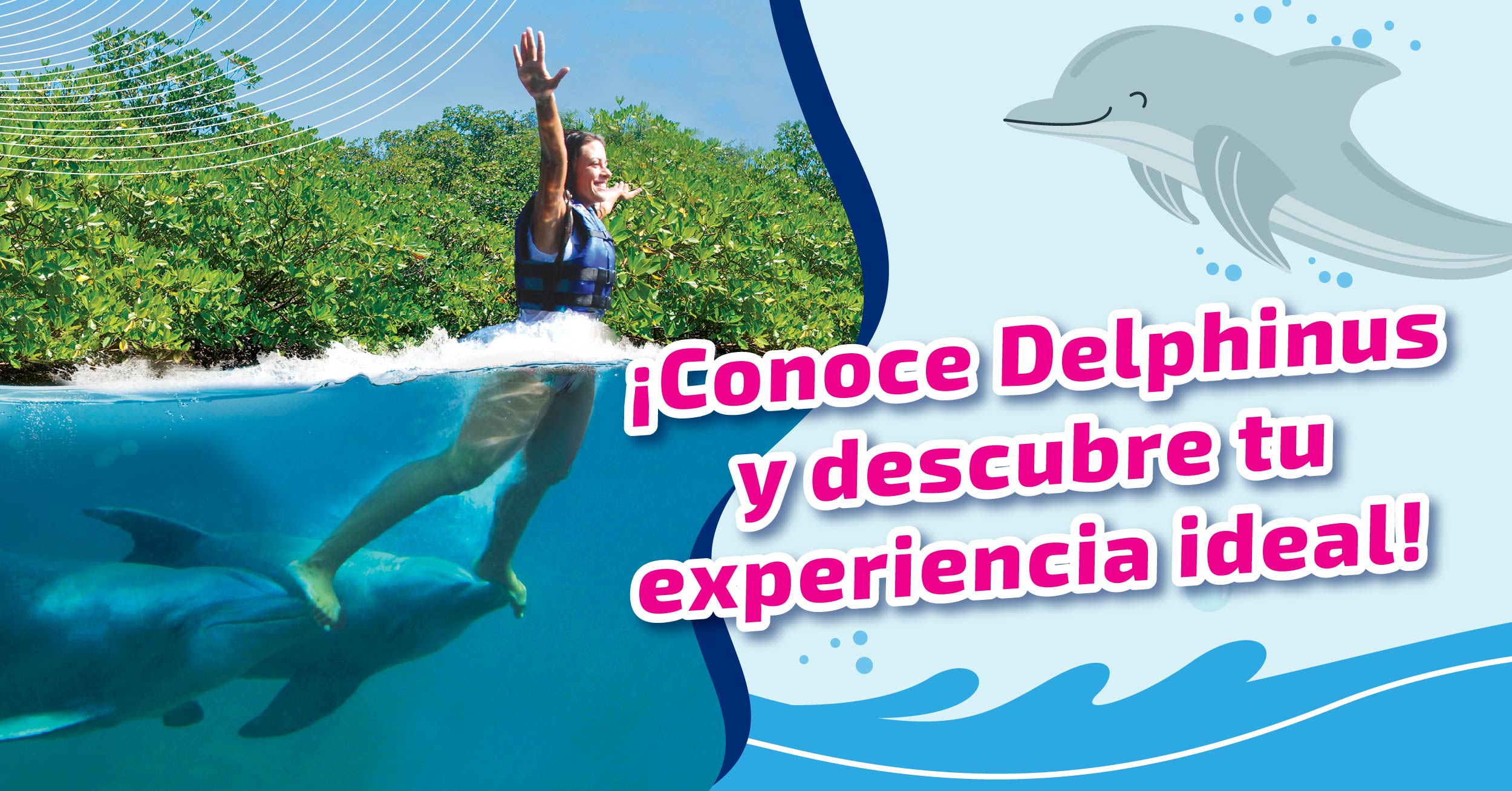 Tu experiencia ideal para nadar con delfines