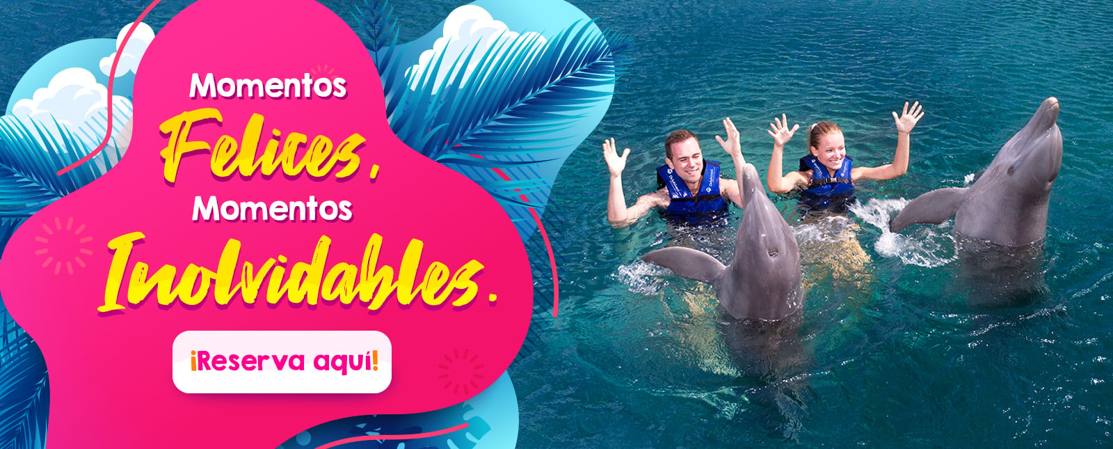 Nado con delfines en México | Delphinus