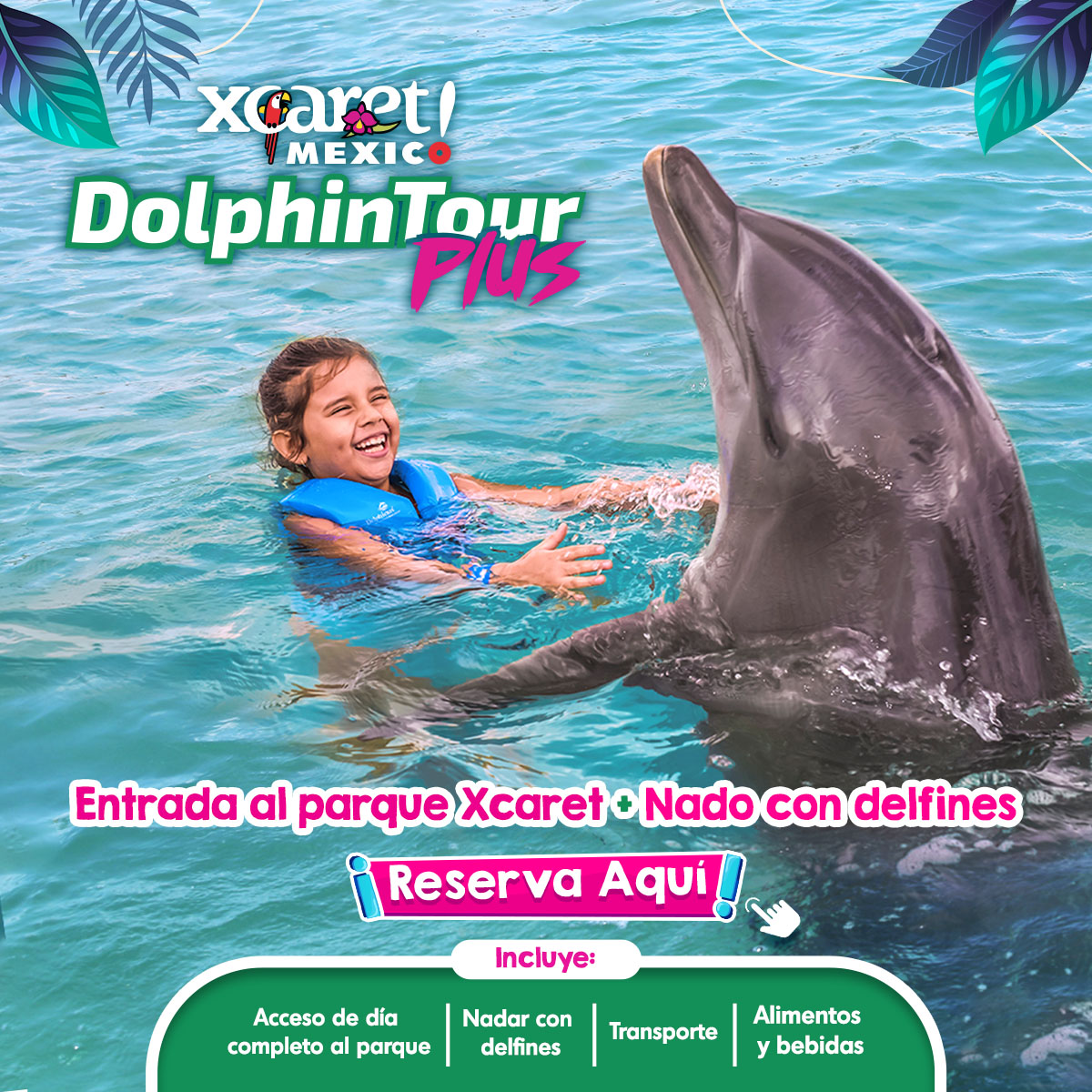 Nado con delfines en México | Delphinus